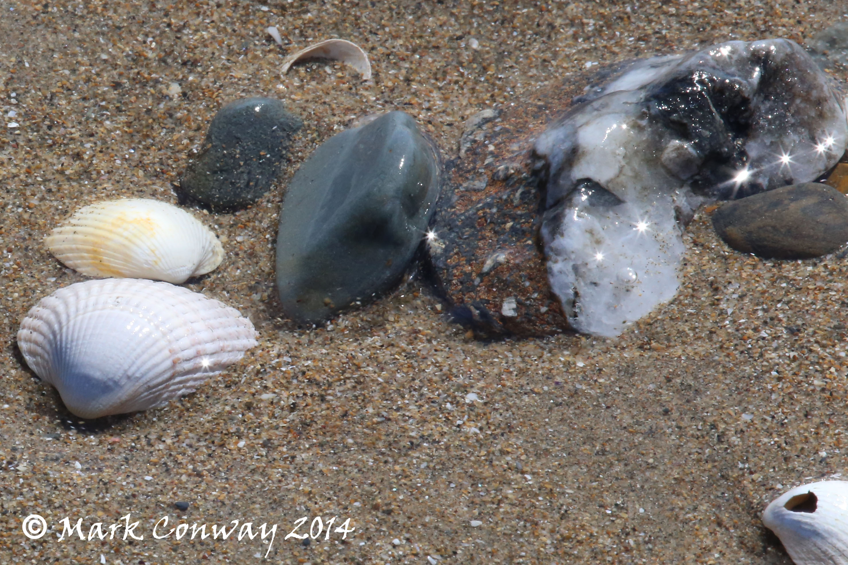 Shells, Stones and Stars | Life Spirit by Mark Conway